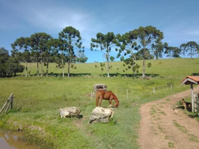 Fazenda / Sítios / Chácaras à venda em Andradas, no bairro Área Rural De Andradas