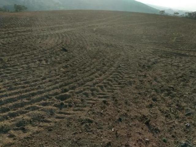 Fazenda / Sítios / Chácaras à venda em Andrelândia, no bairro Zona Rural