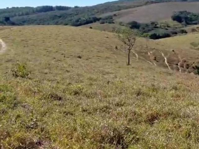 Fazenda / Sítios / Chácaras à venda em Andrelândia, no bairro Zona Rural