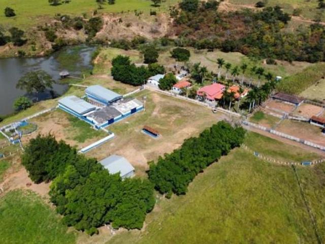 Fazenda / Sítios / Chácaras à venda em Buritis, no bairro Área Rural