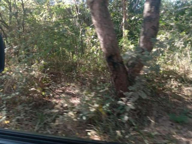 Fazenda / Sítios / Chácaras à venda em Buritizeiro, no bairro Zona Rural