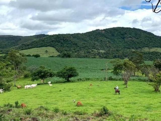 Fazenda / Sítios / Chácaras à venda em Bom Sucesso, no bairro Zona Rural