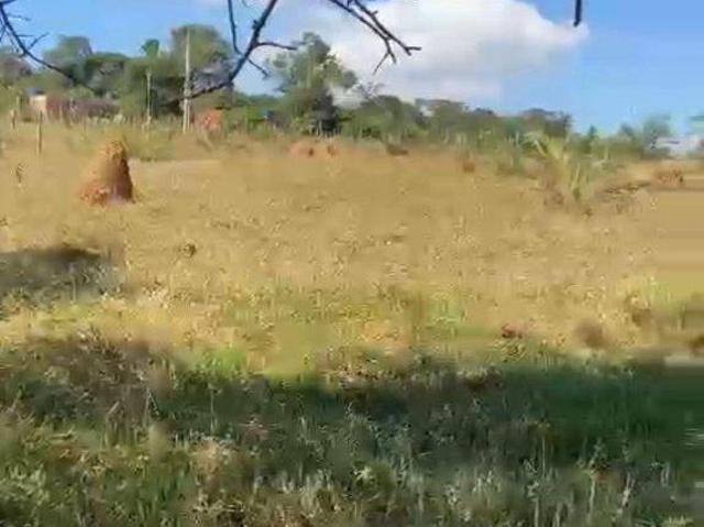 Fazenda / Sítios / Chácaras à venda em Bonfim, no bairro Bonfim