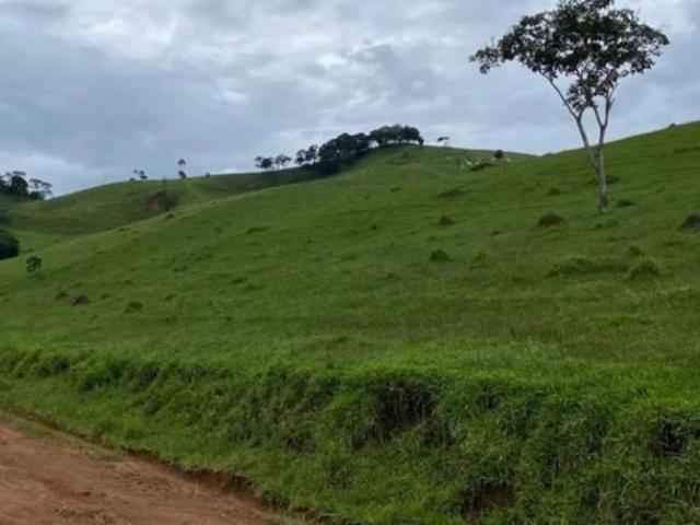 Fazenda / Sítios / Chácaras à venda em Borda Da Mata, no bairro Área Rural