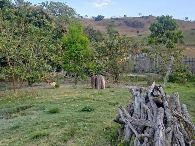 Fazenda / Sítios / Chácaras à venda em Borda Da Mata, no bairro Bogari