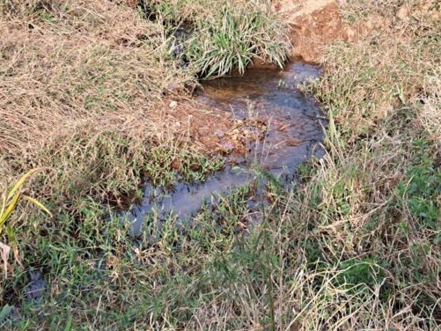 Fazenda / Sítios / Chácaras à venda em Borda Da Mata, no bairro Ribeirão Bonito