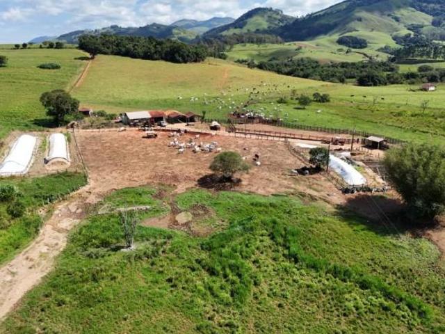 Fazenda / Sítios / Chácaras à venda em Borda Da Mata, no bairro Zona Rural