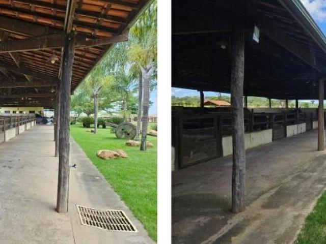 Fazenda / Sítios / Chácaras à venda em Curvelo, no bairro Área Rural De Curvelo