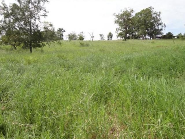 Fazenda / Sítios / Chácaras à venda em Curvelo, no bairro Área Rural De Curvelo