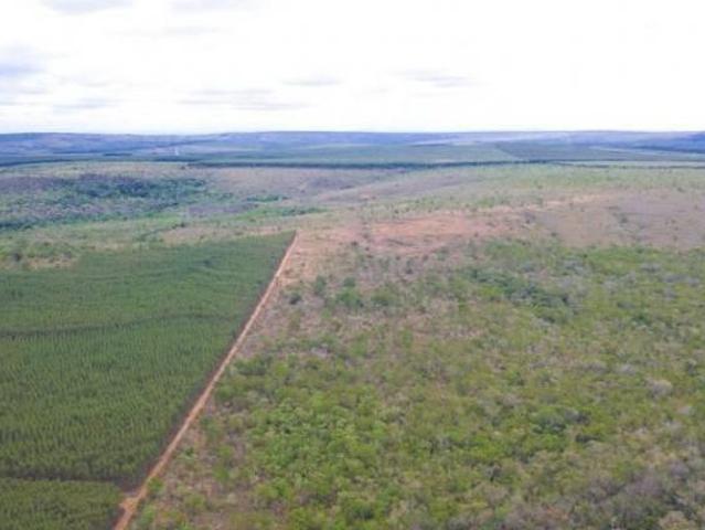 Fazenda / Sítios / Chácaras à venda em Curvelo, no bairro Centro