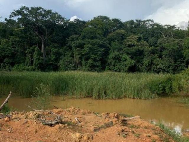 Fazenda / Sítios / Chácaras à venda em Curvelo, no bairro Tomás Gonzaga
