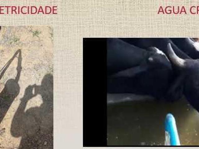 Fazenda / Sítios / Chácaras à venda em Curvelo, no bairro Zona Rural