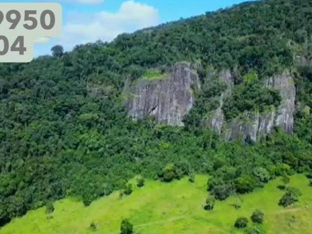 Fazenda / Sítios / Chácaras à venda em Cachoeira De Minas, no bairro Zona Rural