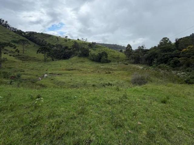 Fazenda / Sítios / Chácaras à venda em Camanducaia, no bairro Zona Rural