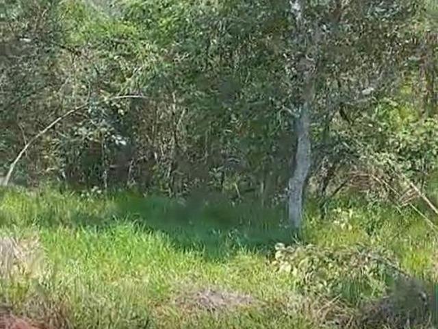 Fazenda / Sítios / Chácaras à venda em Cambuquira, no bairro Zona Rural
