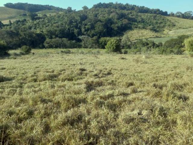 Fazenda / Sítios / Chácaras à venda em Cambuquira, no bairro Zona Rural