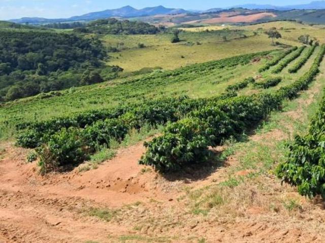 Fazenda / Sítios / Chácaras à venda em Carmo De Minas, no bairro Zona Rural