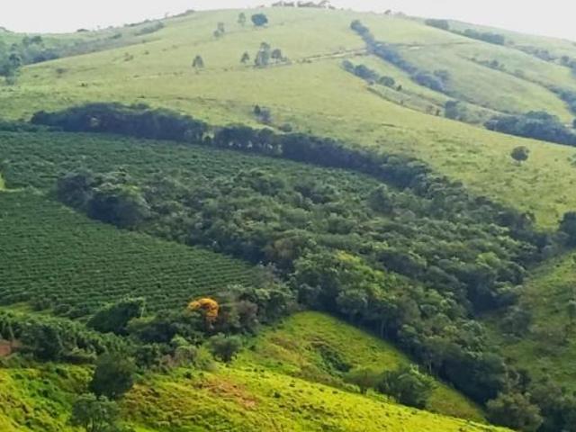 Fazenda / Sítios / Chácaras à venda em Carmo Do Rio Claro, no bairro Zona Rural