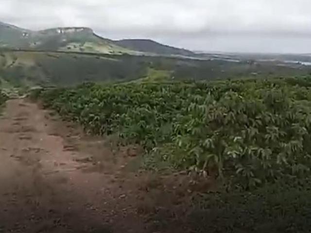 Fazenda / Sítios / Chácaras à venda em Carmo Do Rio Claro, no bairro Zona Rural