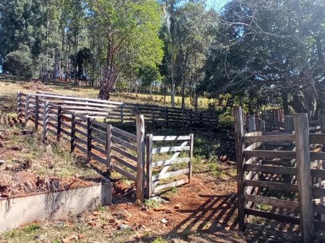 Fazenda / Sítios / Chácaras à venda em Careaçu, no bairro Zona Rural