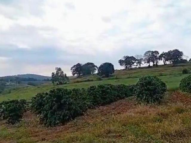 Fazenda / Sítios / Chácaras à venda em Careaçu, no bairro Zona Rural