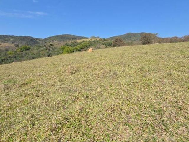 Fazenda / Sítios / Chácaras à venda em Conceição Do Rio Verde, no bairro Contendas