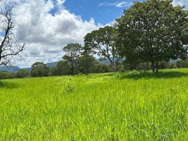 Fazenda / Sítios / Chácaras à venda em Corinto, no bairro Zona Rural