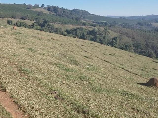 Fazenda / Sítios / Chácaras à venda em Elói Mendes, no bairro Zona Rural