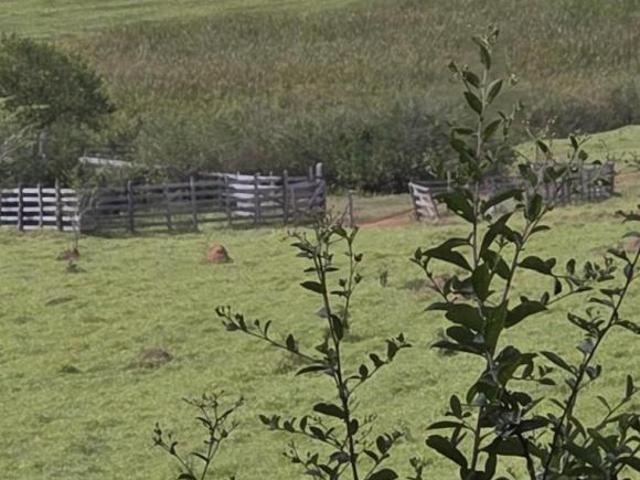 Fazenda / Sítios / Chácaras à venda em Elói Mendes, no bairro Zona Rural 1