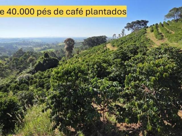 Fazenda / Sítios / Chácaras à venda em Elói Mendes, no bairro Zona Rural 2