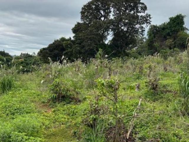 Fazenda / Sítios / Chácaras à venda em Elói Mendes, no bairro Zona Rural