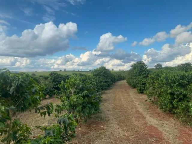 Fazenda / Sítios / Chácaras à venda em Elói Mendes, no bairro Zona Rural