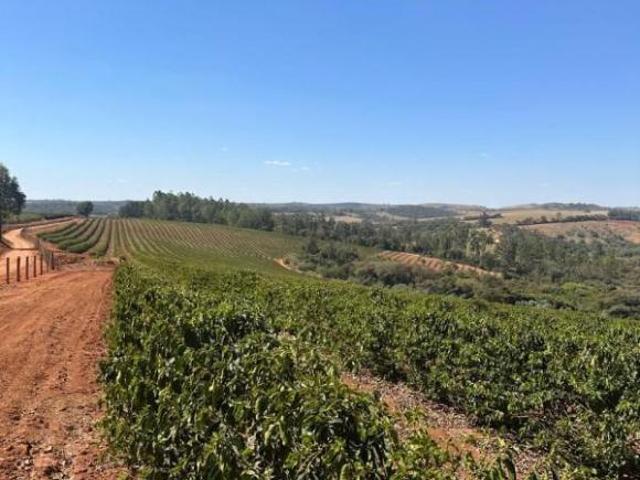 Fazenda / Sítios / Chácaras à venda em Elói Mendes, no bairro Rural