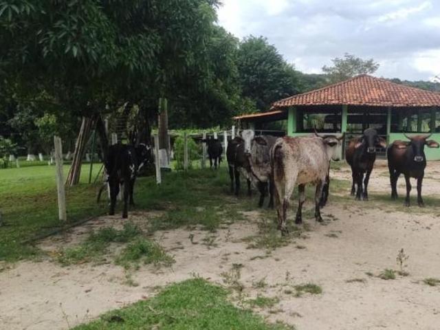 Fazenda / Sítios / Chácaras à venda em Esmeraldas, no bairro Área Rural De Esmeraldas