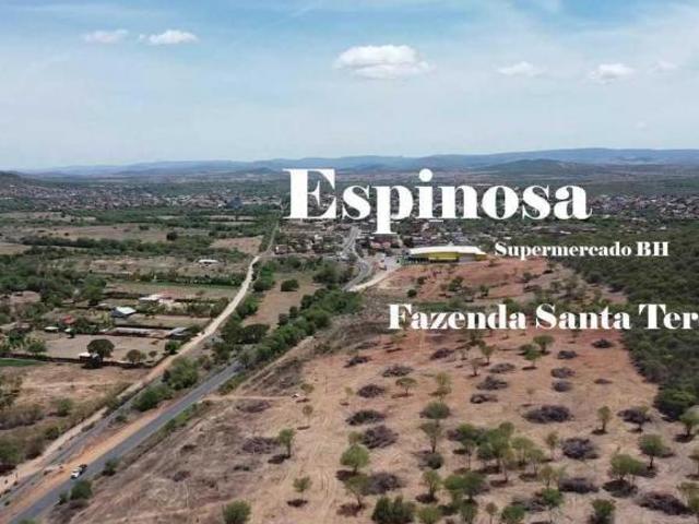 Fazenda / Sítios / Chácaras à venda em Espinosa, no bairro Centro