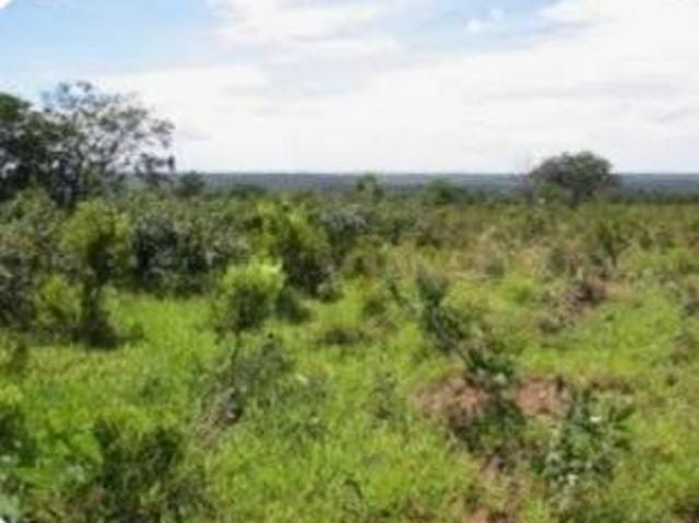 Fazenda / Sítios / Chácaras à venda em Felixlândia, no bairro Zona Rural