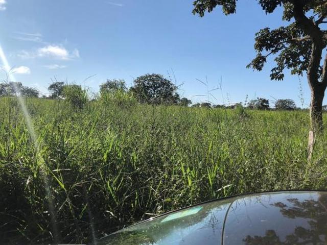 Fazenda / Sítios / Chácaras à venda em Felixlândia, no bairro Centro