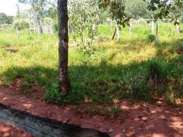 Fazenda / Sítios / Chácaras à venda em Felixlândia, no bairro Rural
