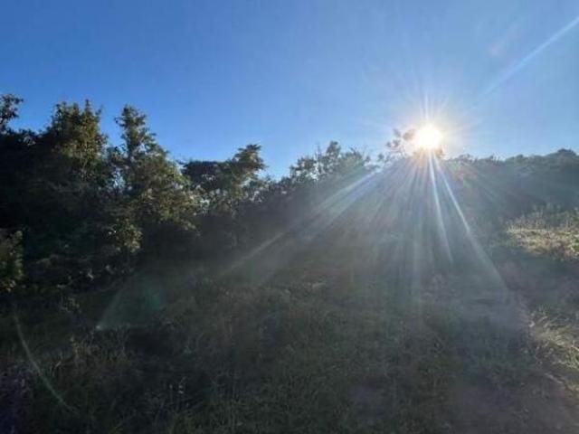 Fazenda / Sítios / Chácaras à venda em Florestal, no bairro 35690000