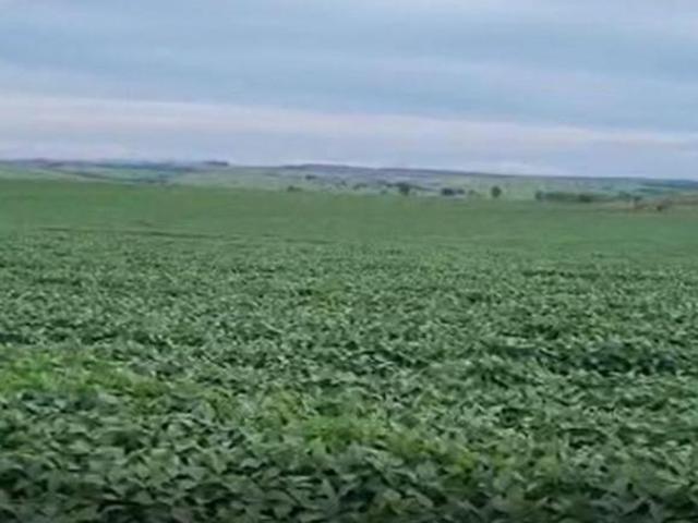 Fazenda / Sítios / Chácaras à venda em Formiga, no bairro Área Rural De Formiga
