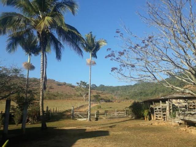 Fazenda / Sítios / Chácaras à venda em Guaraciaba, no bairro Vargem Alegre