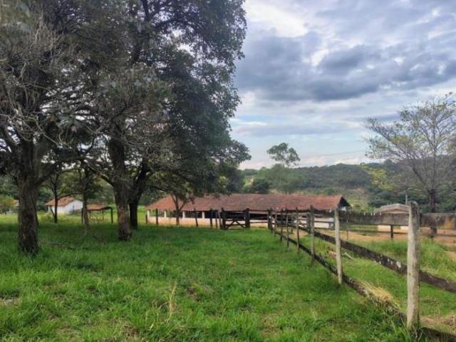 Fazenda / Sítios / Chácaras à venda em Itaúna, no bairro Área Rural De Itaúna