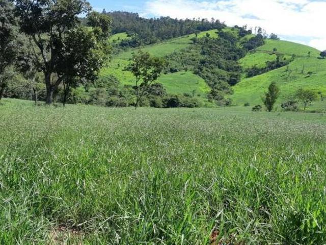 Fazenda / Sítios / Chácaras à venda em Jacutinga, no bairro Zona Rural