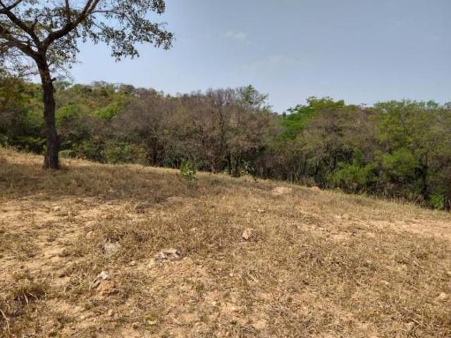 Fazenda / Sítios / Chácaras à venda em Jaboticatubas, no bairro Casa De Telha