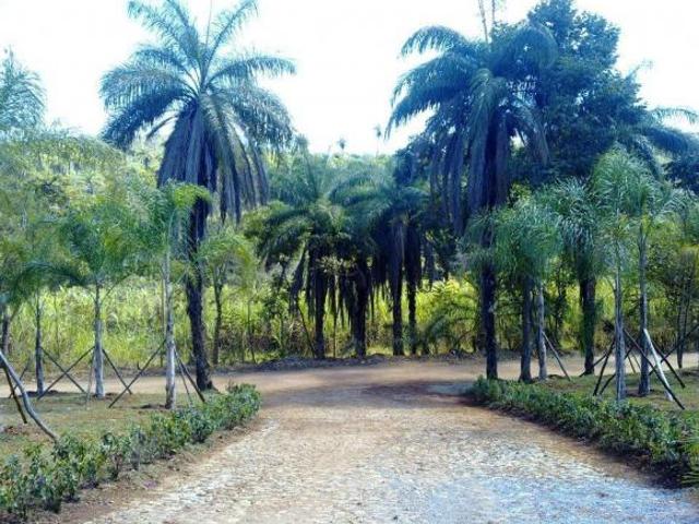 Fazenda / Sítios / Chácaras à venda em Jaboticatubas, no bairro Centro