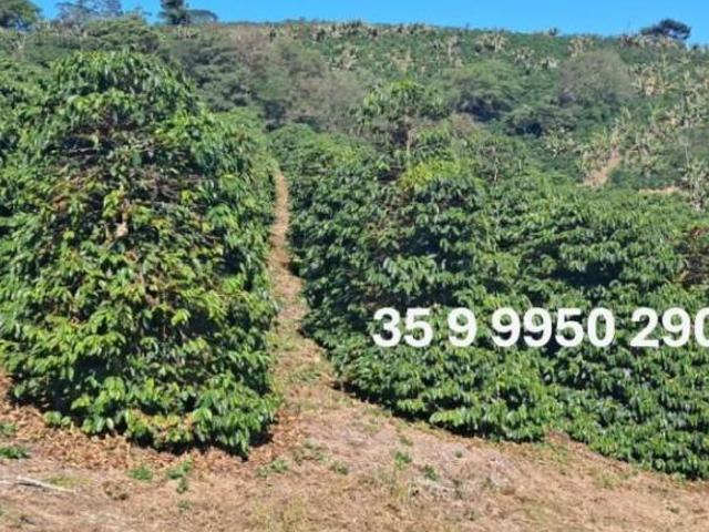 Fazenda / Sítios / Chácaras à venda em Jesuânia, no bairro Zona Rural