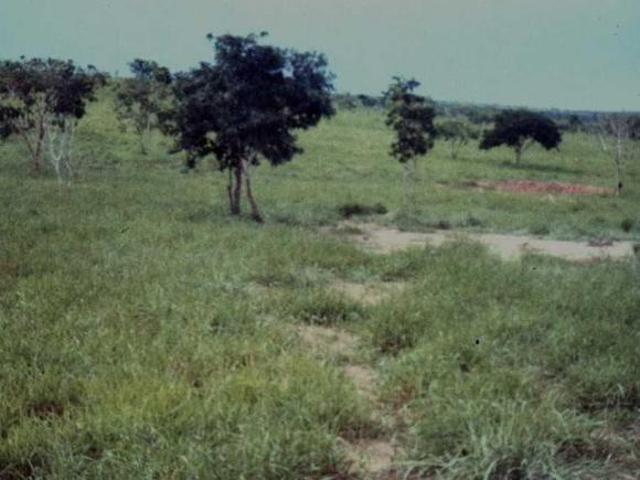Fazenda / Sítios / Chácaras à venda em João Pinheiro, no bairro Zona Rural