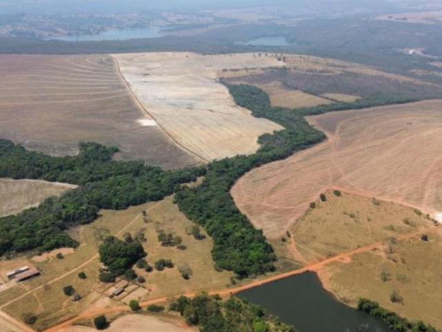 Fazenda / Sítios / Chácaras à venda em Luziânia, no bairro Centro