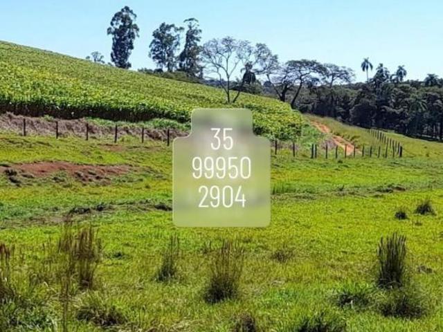 Fazenda / Sítios / Chácaras à venda em Lavras, no bairro Área Rural De Lavras