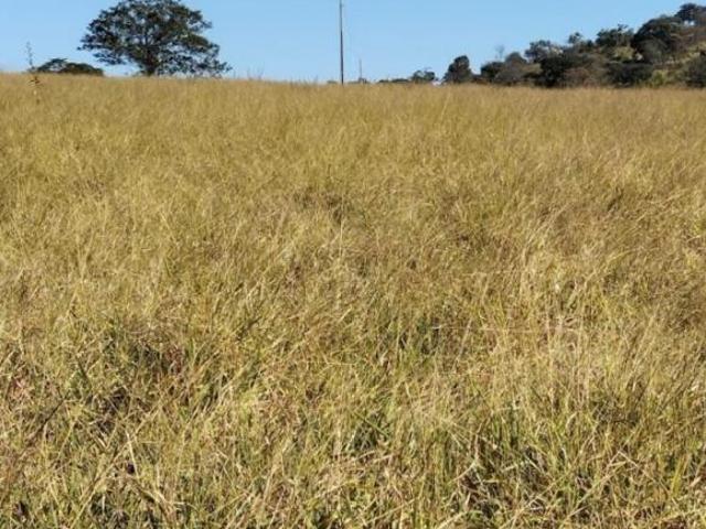 Fazenda / Sítios / Chácaras à venda em Pará De Minas, no bairro Área Rural De Pará De Minas